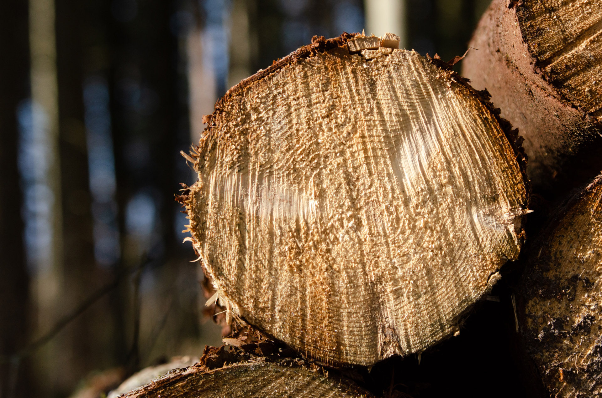 Holzheiztechniken